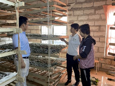 用心学党史立足岗位办实事华坪县红十字会组织开展我为群众办实事实践活动 工作