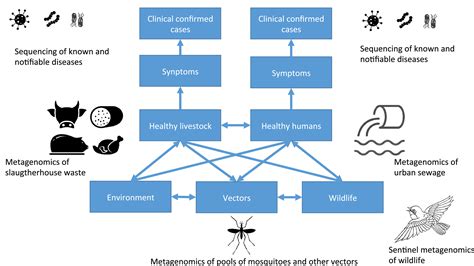 Pandemics One Health Preparedness For The Next The Lancet Regional Health Europe