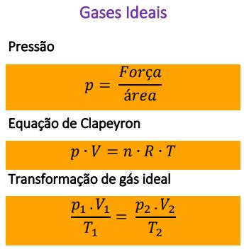 O que cai na primeira fase da FUVEST Professor Pinguim Física