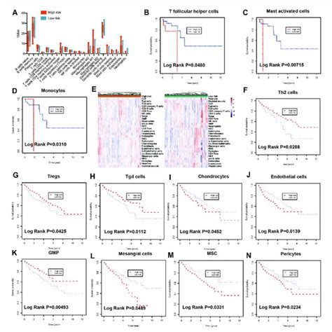 Immune Characteristics Of Risk Groups A Different Immune Cell Levels