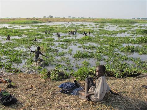 South Sudan The Consequences Of Violence Since Independence Msf Uk