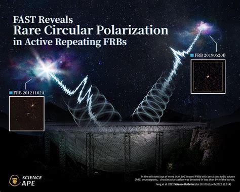 Precise Fast Observations Reveal Circular Polarization In Active