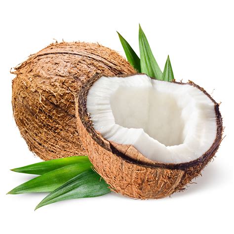 Coconut Fragrance Oil 94 Wholesale Supplies Plus