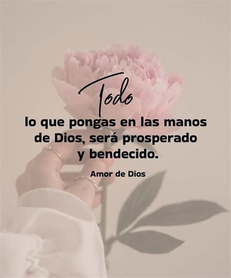 Pin De Confía En Dios En Amor De Dios Frases Bonitas De Jesus Frases