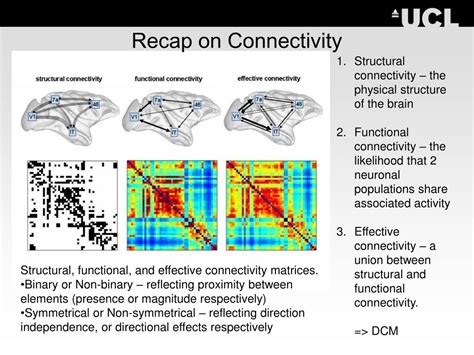 ppt dynamic causal modelling for fmri powerpoint presentation free