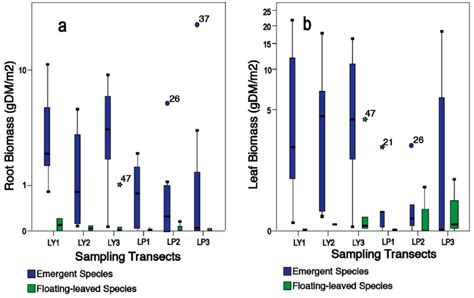 Comparison Of Root A And Photosynthetic B Biomass Gdry Wtm2 Of