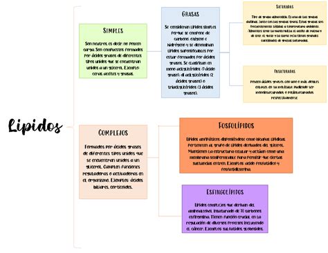 Clasificacion De Lipidos LÌpidos Simples Son Neutros Es Decir No