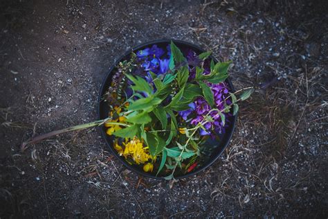 Greenland Gastronomy Your Guide To The Wildest Food In The World