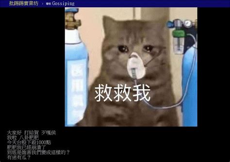 台股雪崩「黑色星期五」 單日暴跌逾千點破歷史紀錄 民視運動網