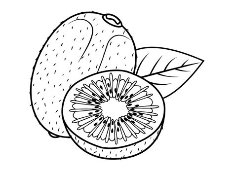 키위 색칠 공부 Kr에서 무료 색칠 공부