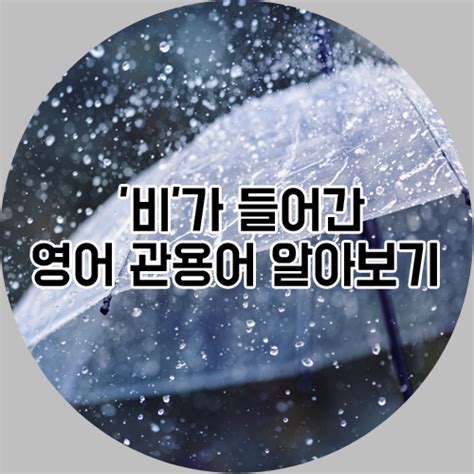 비가 들어간 영어 관용어 알아보기 네이버 블로그