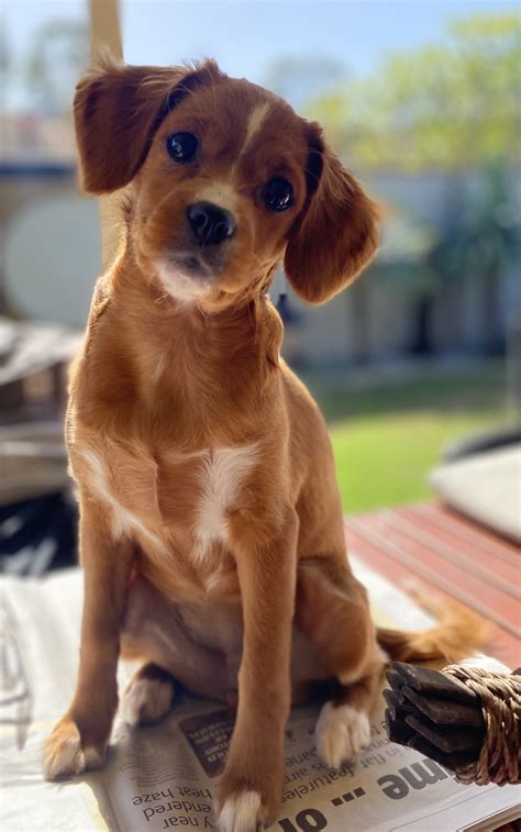 Izzy Bizzy Buttons Added A New Photo Izzy Bizzy Buttons