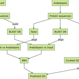 GO Annotations Using Sequence Similarity Methods Download Scientific Diagram