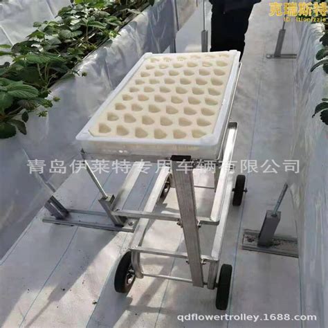 推薦草莓採摘車， 溫室大棚農業草莓工具採收車， 方便手推車 露天市集 全台最大的網路購物市集