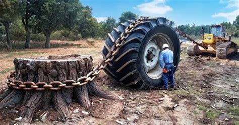 Dangerous Powerful Stump Removal Excavator Working Incredible Wood Chipper Machines In Action