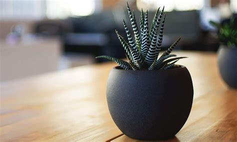 Demystifying Convolutional Neural Networks A Powerful Tool In Image Recognition Murali