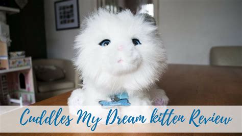 Cuddles My Dream Kitten Review Super Busy Mum Northern Irish Blogger
