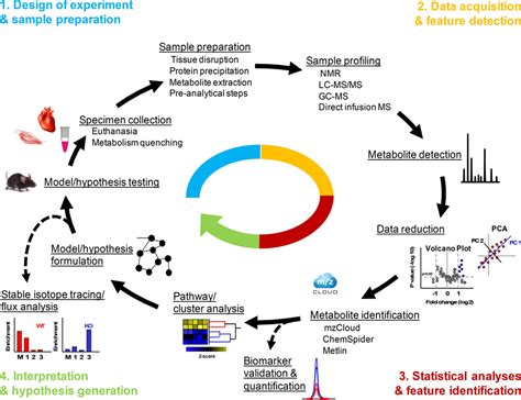Cardiovascular Metabolomics Circulation Research