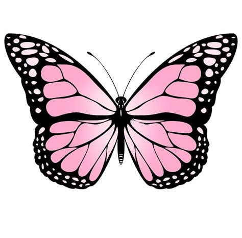 Pin De Alis Tm En Aesthetic Como Dibujar Mariposas Flores Fáciles