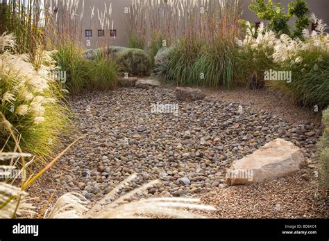 Ornamental Grass Miscanthus Around Rain Garden Water Catch Basin In