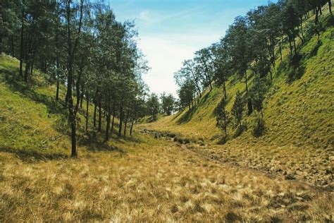 Foto Pemandangan Gunung Lawu