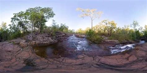 Stock Video Royalty Free Stock Footage Pond Nature Stock Footage Royalty Free Stock