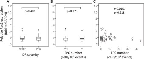 Ras Related C3 Botulinum Toxin Substrate 1 Rac1 Expression Stratified Download Scientific