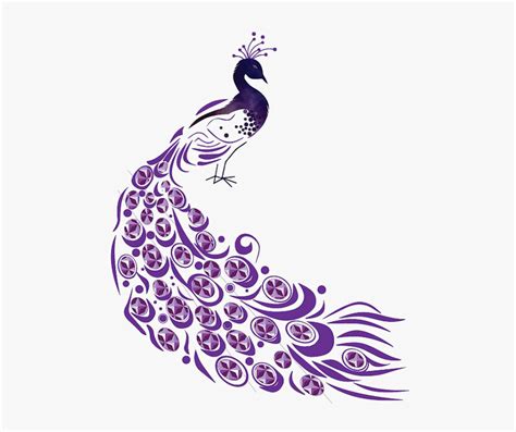 Peacock Feather Designs Png