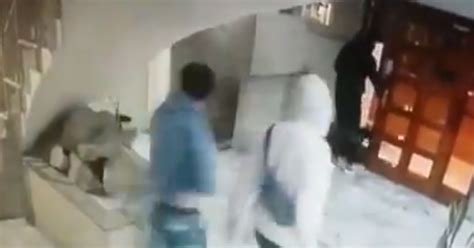 Video Esperó A Que Su Vecino Bajara Para Pasear Al Perro Y Lo Atacó A