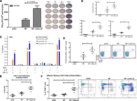 Molecular Adjuvant Il 33 Enhances The Potency Of A Dna Vaccine In A Lethal Challenge Model Pmc