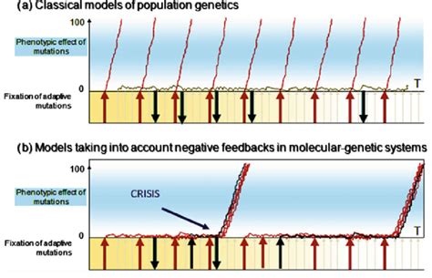 Adaptive Optimization As Contrast To Classic Directional Selection Download Scientific