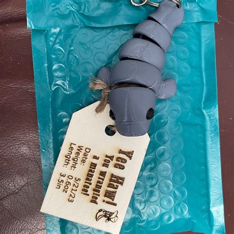 Axolotl Flexi Fidget Key Chain Sensory Toy 3d Printed T Keychain Accessory Axolotl Decor