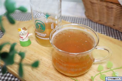 KAI 有機康普茶韓國都愛喝的康普茶來 GC WELL幾好 買 自然發酵氣泡飲料 G子的漫畫生活