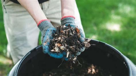 How To Make Compost Quick Plantinfo How To Make Compost Quick Plantinfo