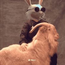 Goat Fucker S Tenor