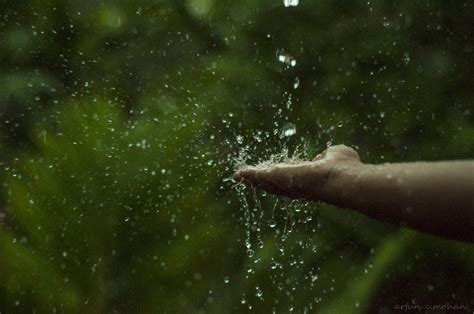 Wallpaper Sunlight Water Nature Love Reflection Grass Rain