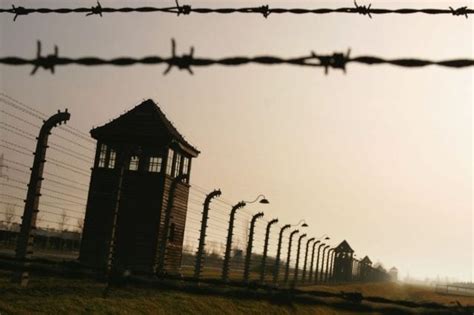 Giornata Della Memoria 2023 La Programmazione Speciale Prevista Da Rai