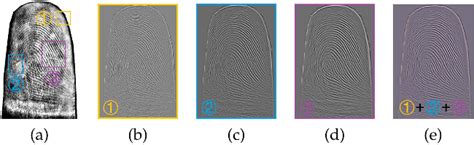 Figure 1 From Synthesis Of Multi View 3d Fingerprints To Advance Contactless Fingerprint