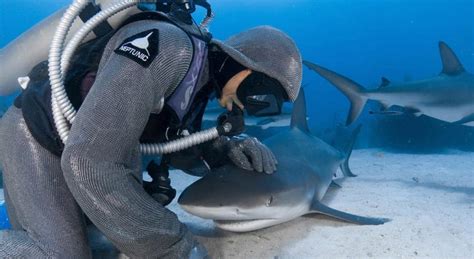 The Shark Whisperer Cristina Zenato On How She Got Her Body Train