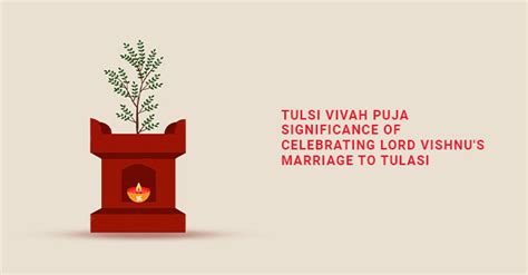 Tulsi Vivah Puja Significance Of Celebrating Lord Vishnus Marriage T