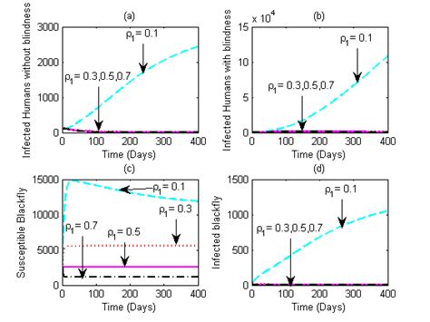Dynamics Transmission Of Onchocerciasis Infection A Infected Human