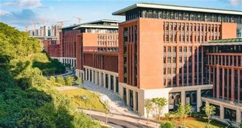 中山大学深圳校区体育馆游泳馆看台座椅设计