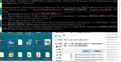 C Dll Xc B System Badimageformatexception