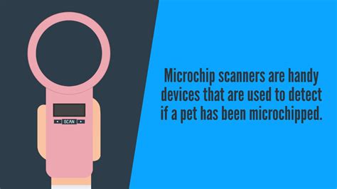 Who Should Invest In A Microchip Reader At Emaze Presentation