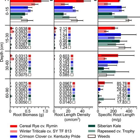 Cover Crop Rooting Traits From Select Treatments At Varying Depths