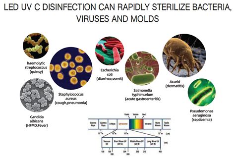 UVC Light Enables UVC Disinfection