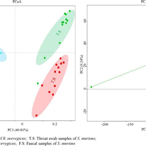 Principal Component Analysis PCA And Principal Coordinates Analysis
