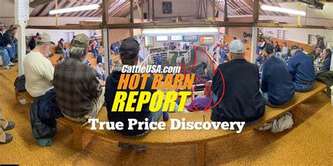 Hot Barn Report Your Ag Network