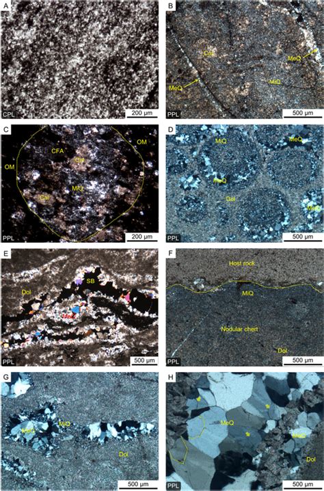Optical Photomicrographs Showing Textural Features Of The Upper