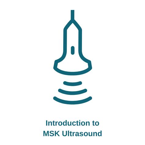 Msk Ultrasound Training Course Therapists Mte Academy — Mte